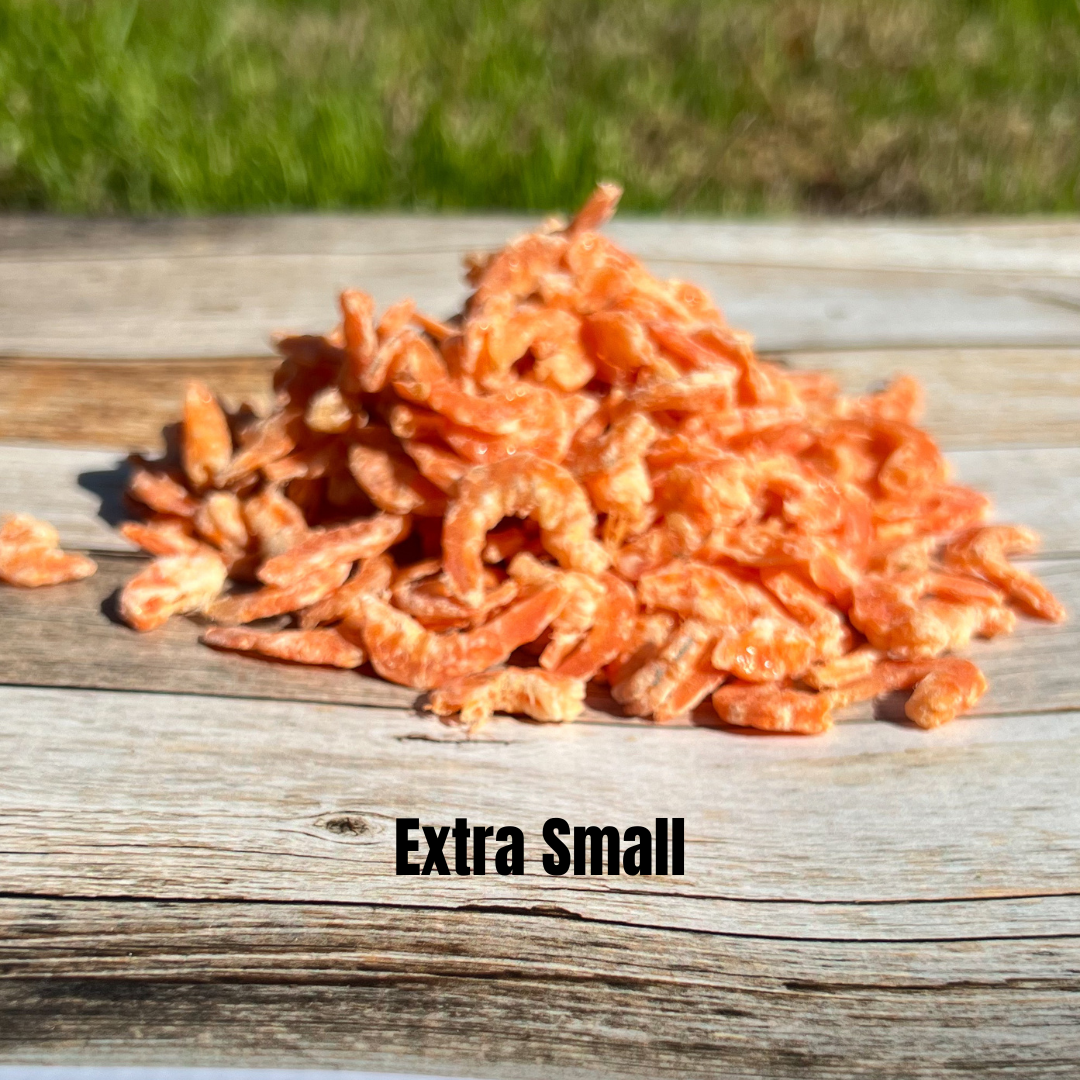 X-Small Louisiana Dried Shrimp - 1lb Bag – Louisiana Dried Shrimp Co.